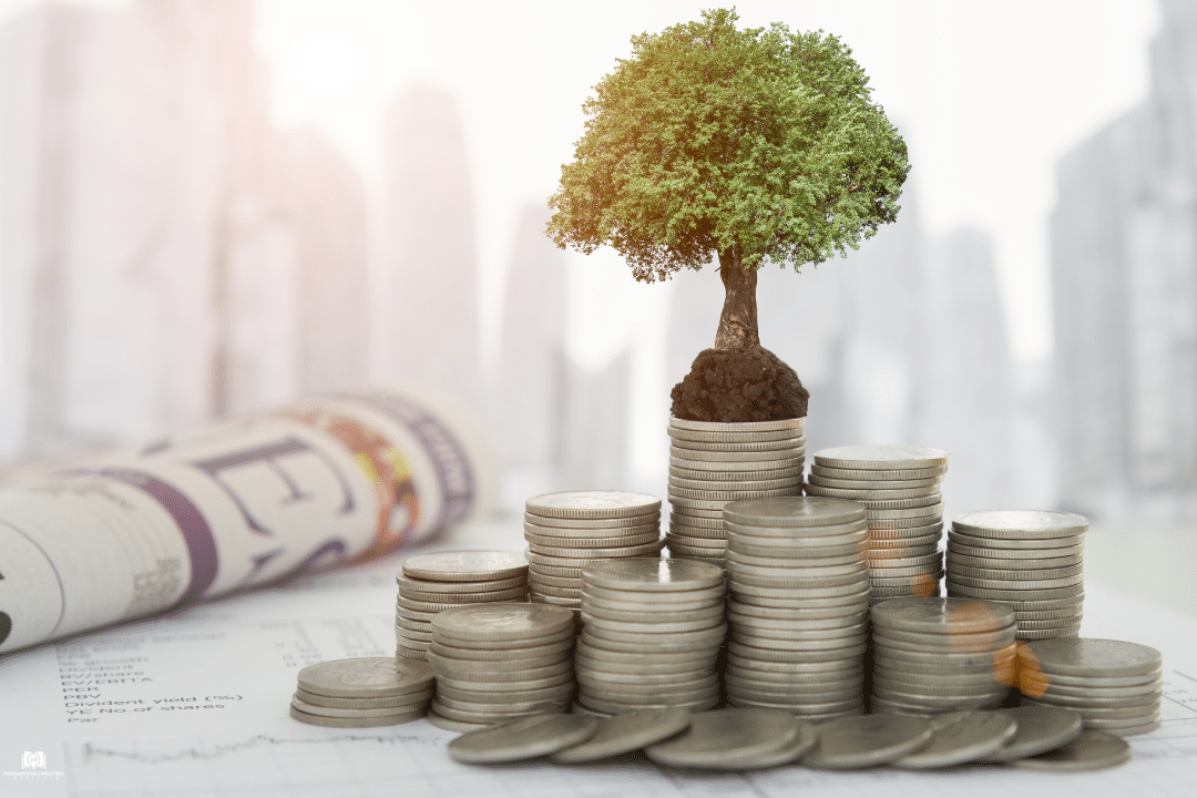 Investment vs. Speculation: Key Differences Explained